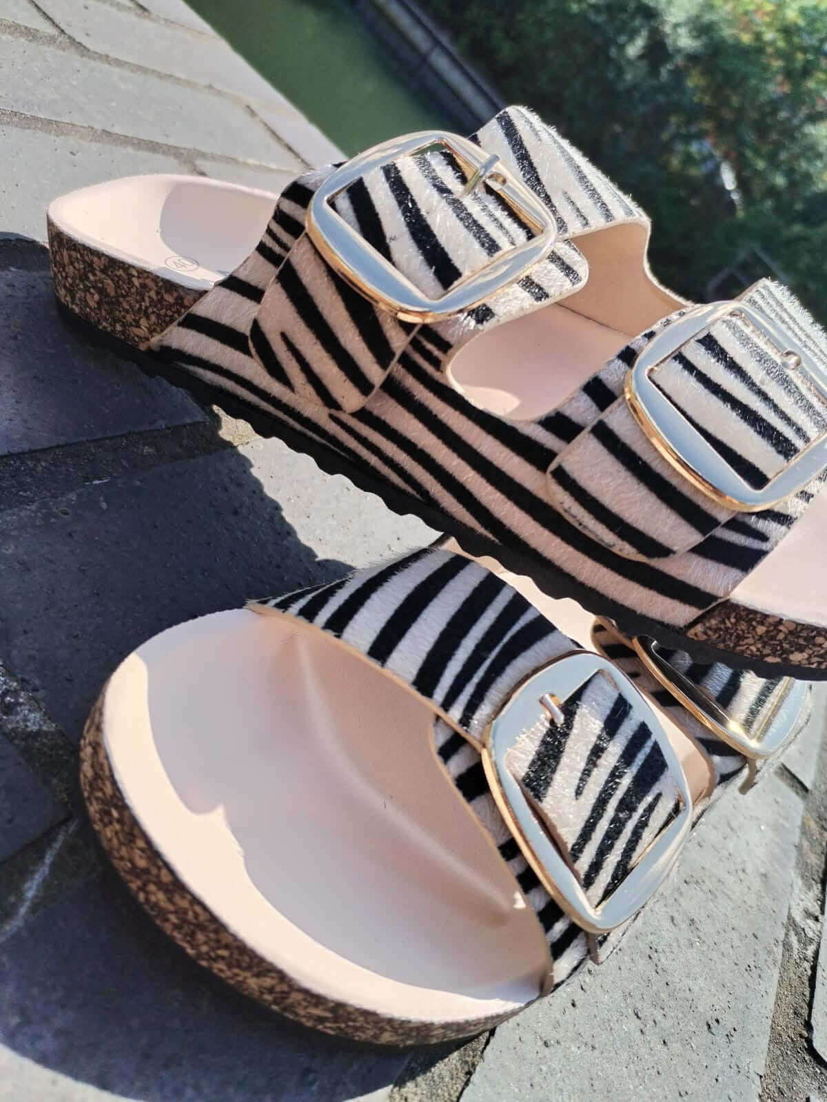 Marti Twin Buckle Zebra Print Slider